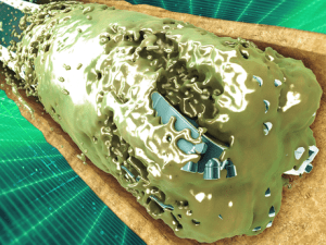 Types Of Drilling Fluids (Mud) In Oil & Gas Industry - Drilling Manual