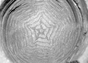 Drill String Vibrations: The Problem & The Solution - Drilling Manual